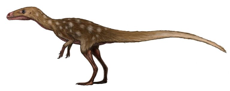 Dinossauros do Brasil: 12 Espécies Incríveis e Por Que Encontramos Tão ...