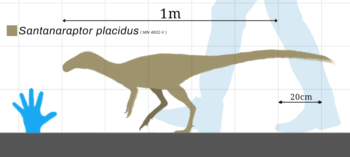 Dinossauros do Brasil: 12 Espécies Incríveis e Por Que Encontramos Tão ...